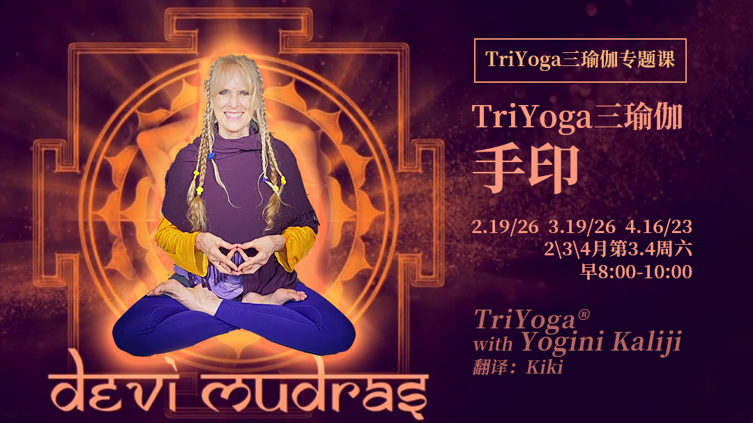 TriYoga三瑜伽云平台